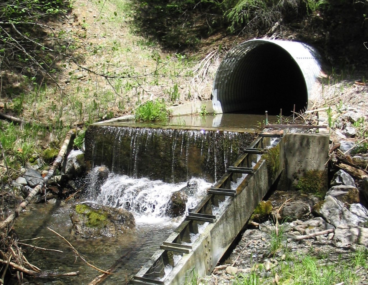 Wilson Creek Fish Passage Project - California Fish Passage Forum