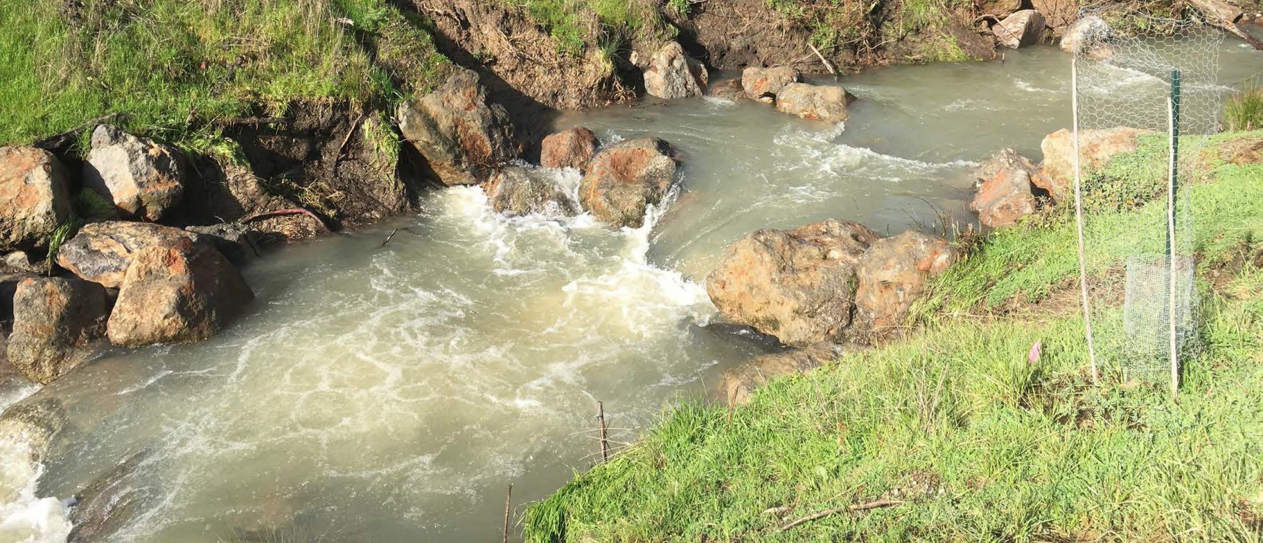 U.S. Fish and Wildlife Service and Partners Announce More than $27.4 ...