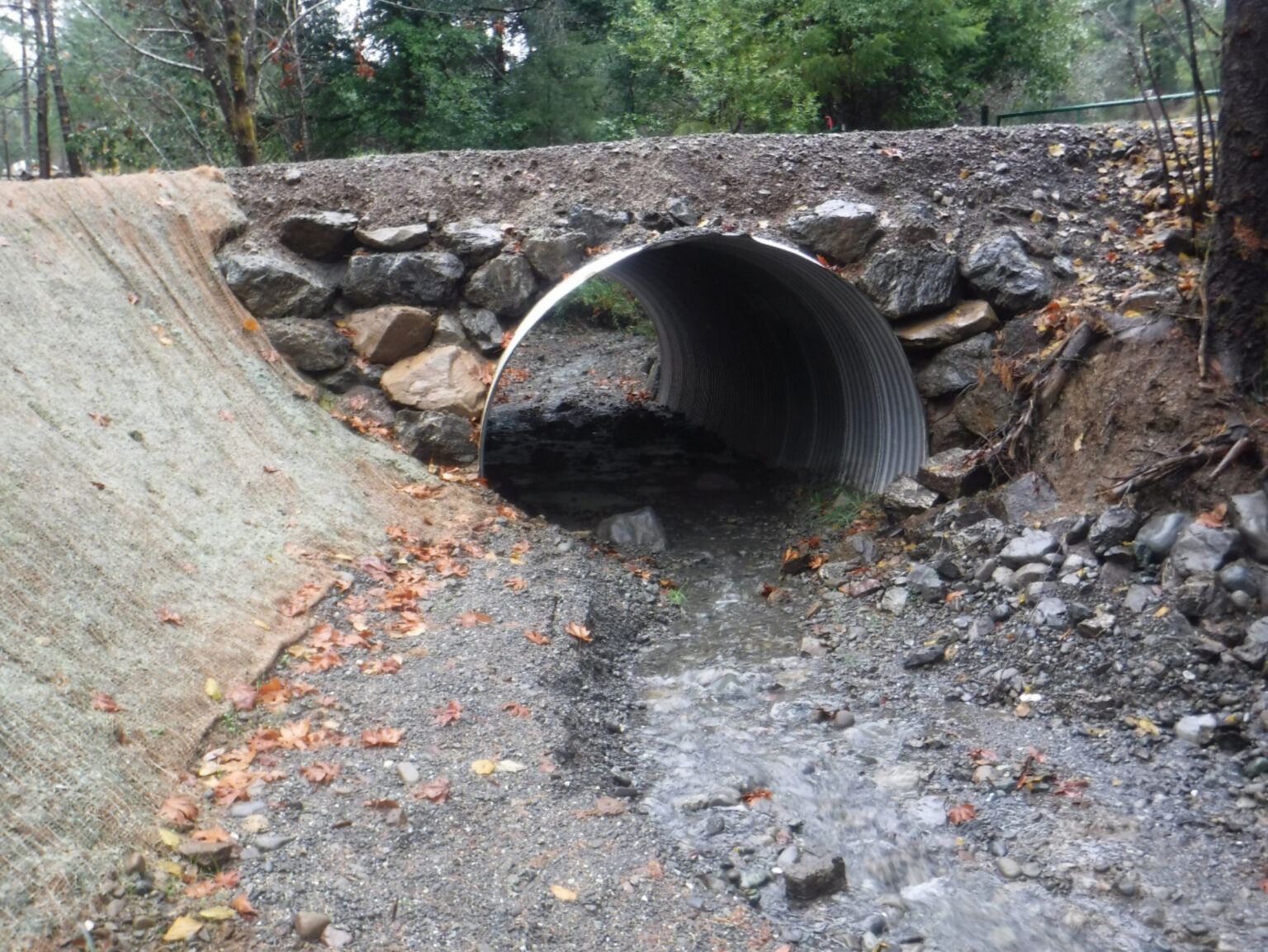 Dinner Creek Fish Passage Barrier Removal Project - California Fish ...