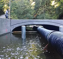 Memorial County Park Fish Passage Barriers Remediation Project ...